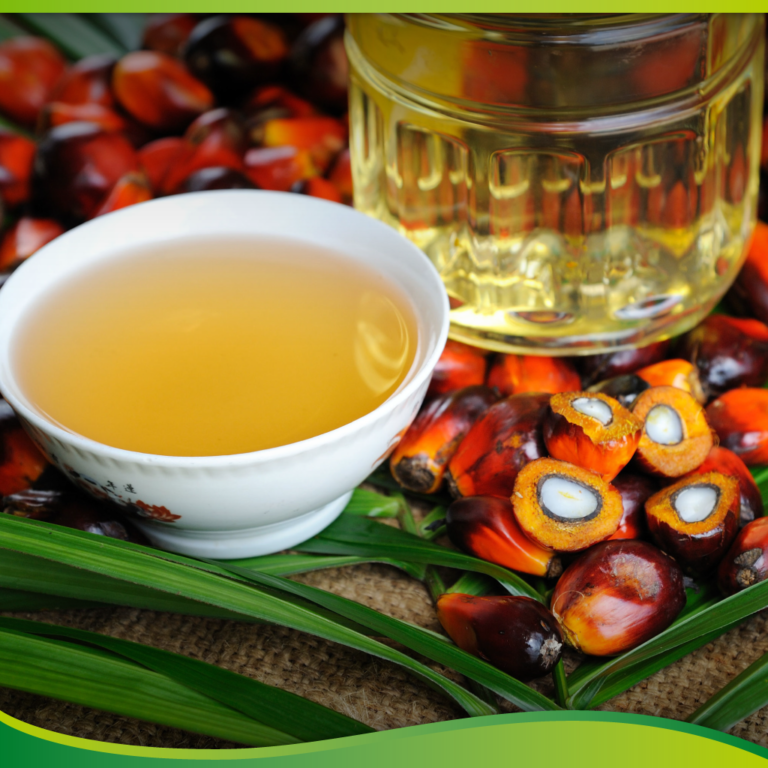 Oleina de Palma RBD - En Su Punto